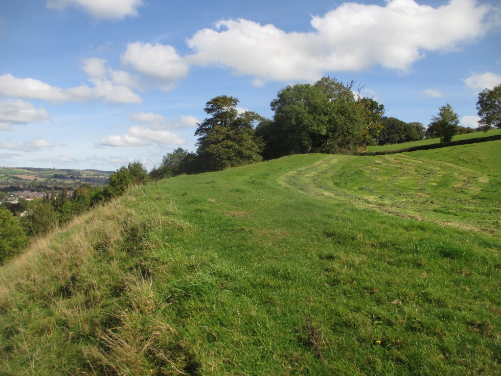 Listed Buildings and Scheduled Ancient Monuments – Tiverton Civic Society