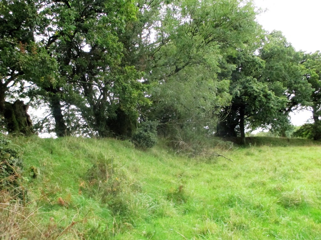 Listed Buildings and Scheduled Ancient Monuments – Tiverton Civic Society